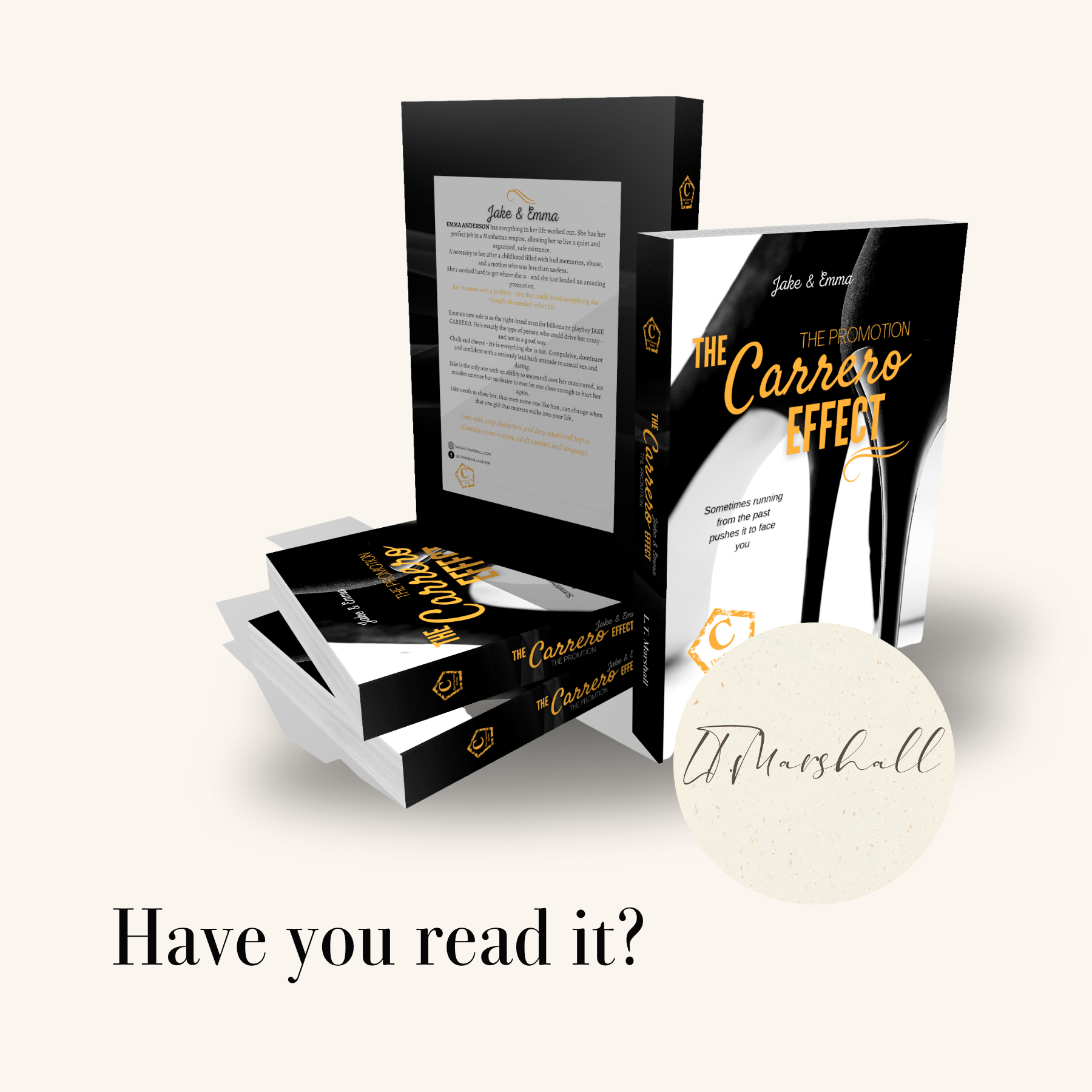 My Writing Process….The Pantser!